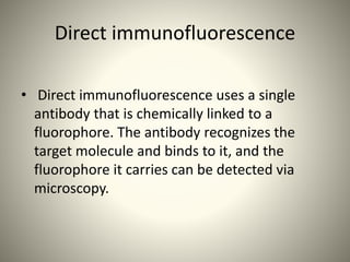 Immunofluorescence technique | PPTX