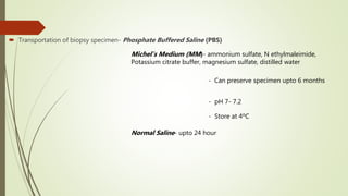 Immunofluorescence in dermatopathology | PPTX