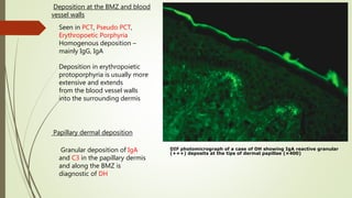 Immunofluorescence in dermatopathology | PPTX