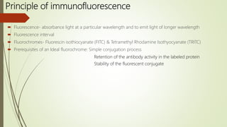Immunofluorescence in dermatopathology | PPTX