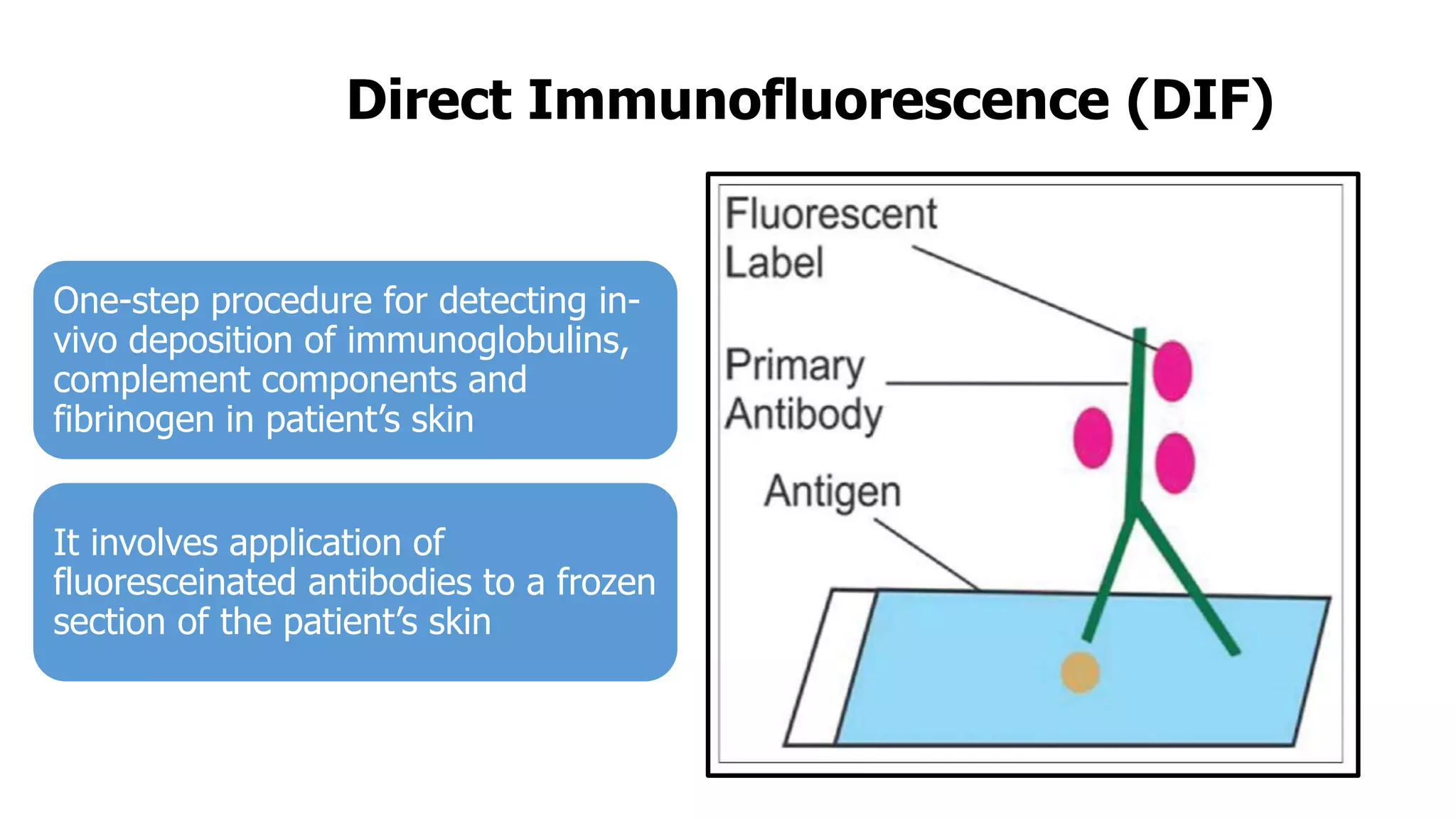 Immunofluorescence in dermatopathology | PPTX