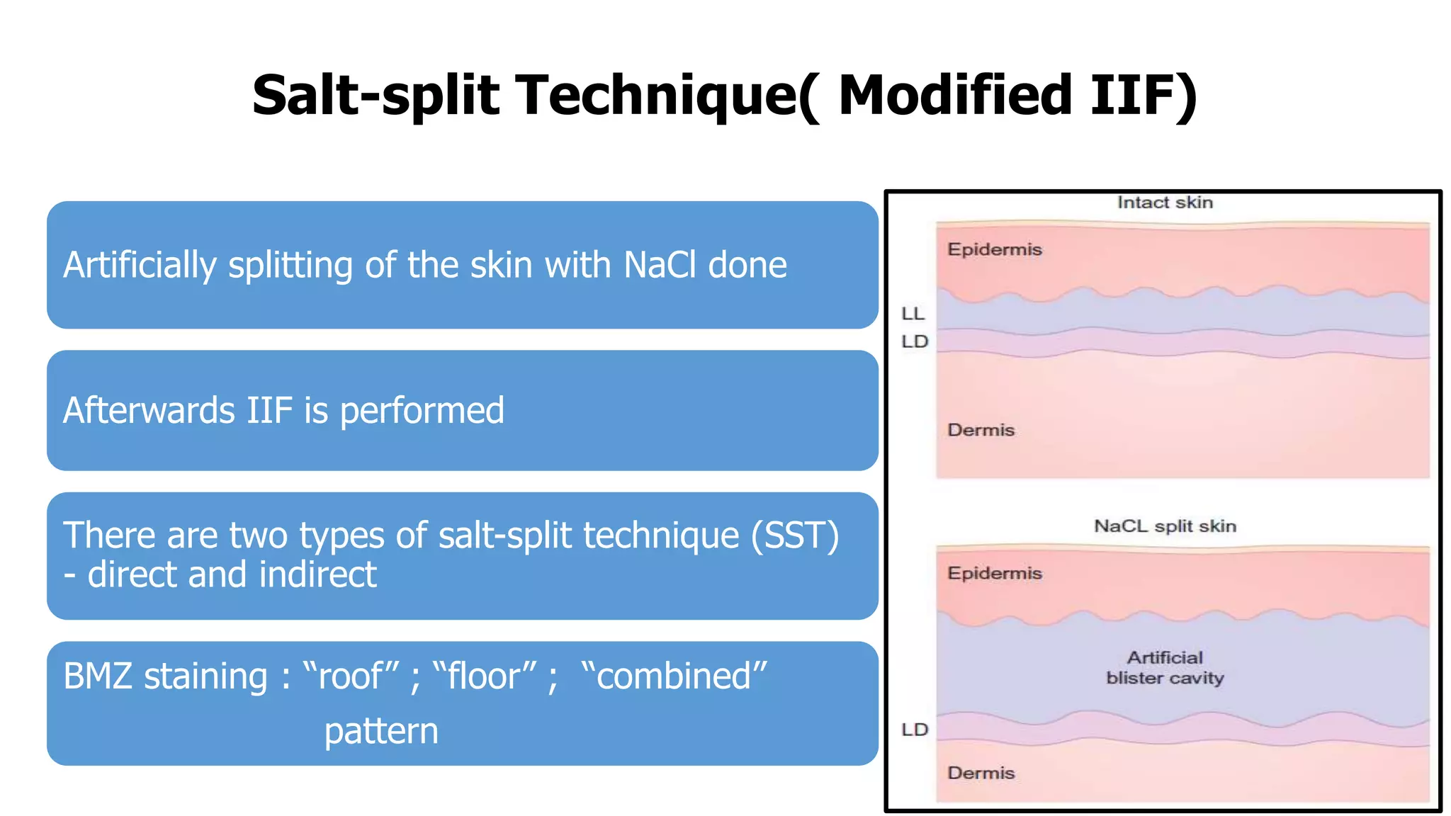 Immunofluorescence in dermatopathology | PPTX