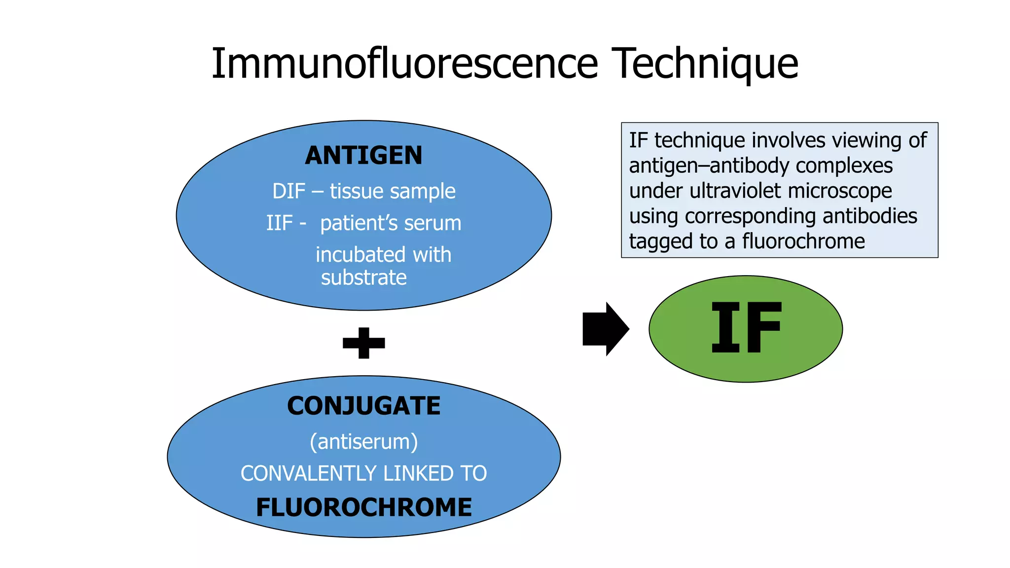 Immunofluorescence in dermatopathology | PPTX
