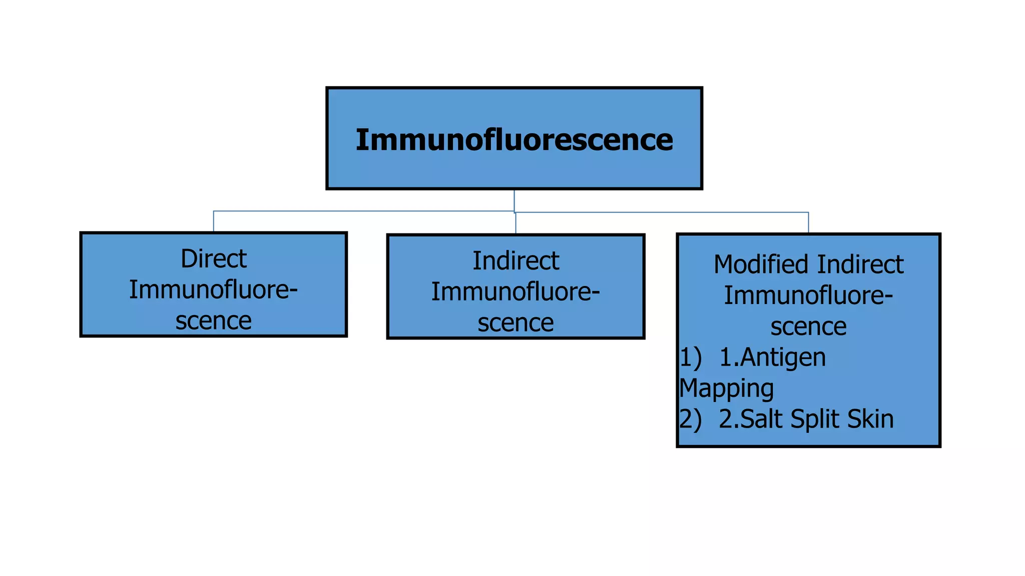 Immunofluorescence in dermatopathology | PPTX