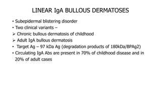 Immunofluorescence in dermatopathology | PPTX | Skin and Dermatology ...