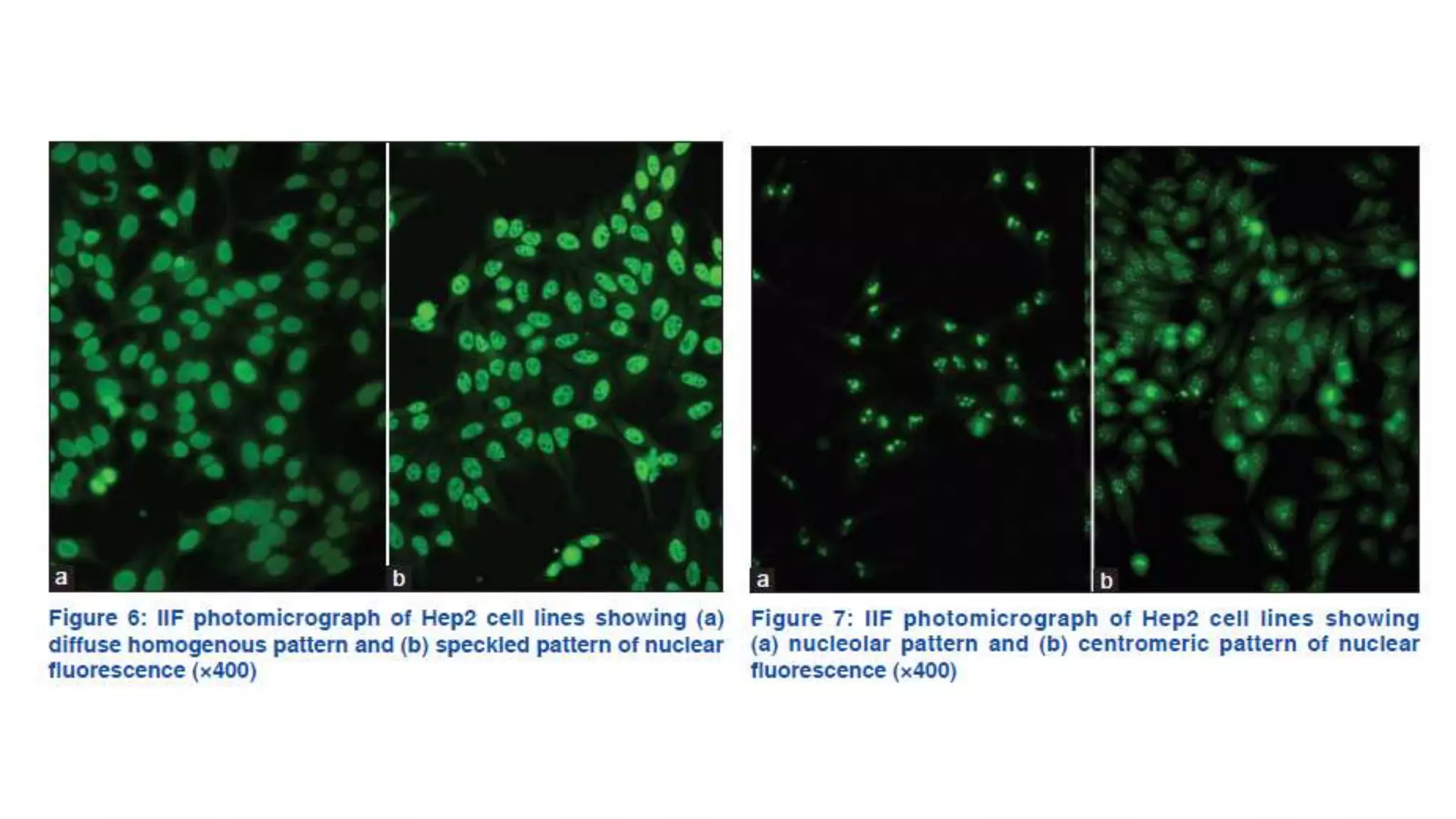 Immunofluorescence Microscopy ...final.pptx