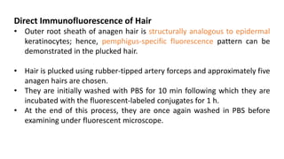 Immunofluorescence Microscopy ...final.pptx