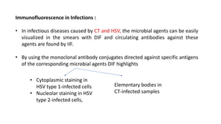 Immunofluorescence Microscopy ...final.pptx