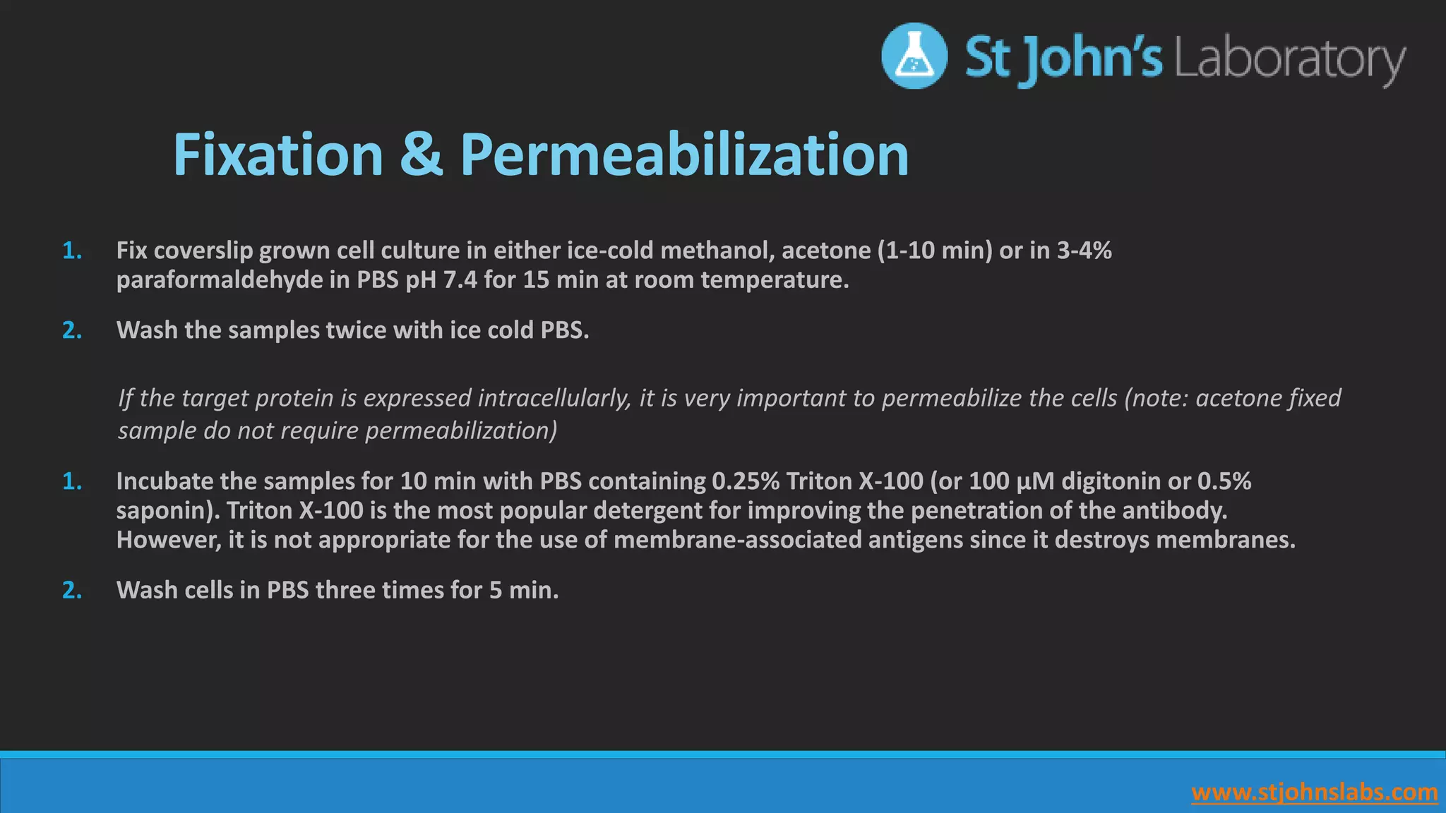 Immunofluorescence (IF) Protocol | PPTX