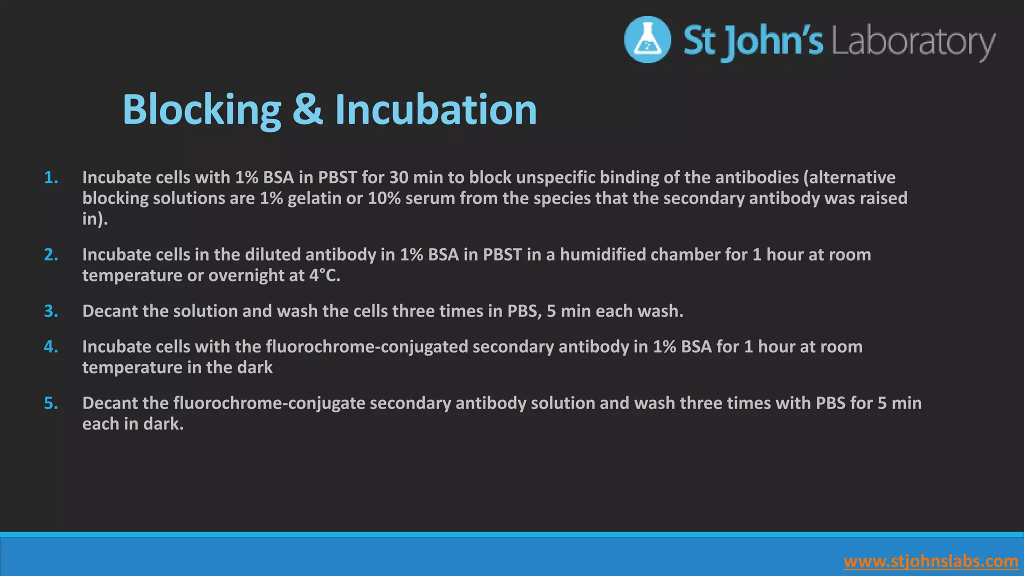 Immunofluorescence (IF) Protocol | PPTX