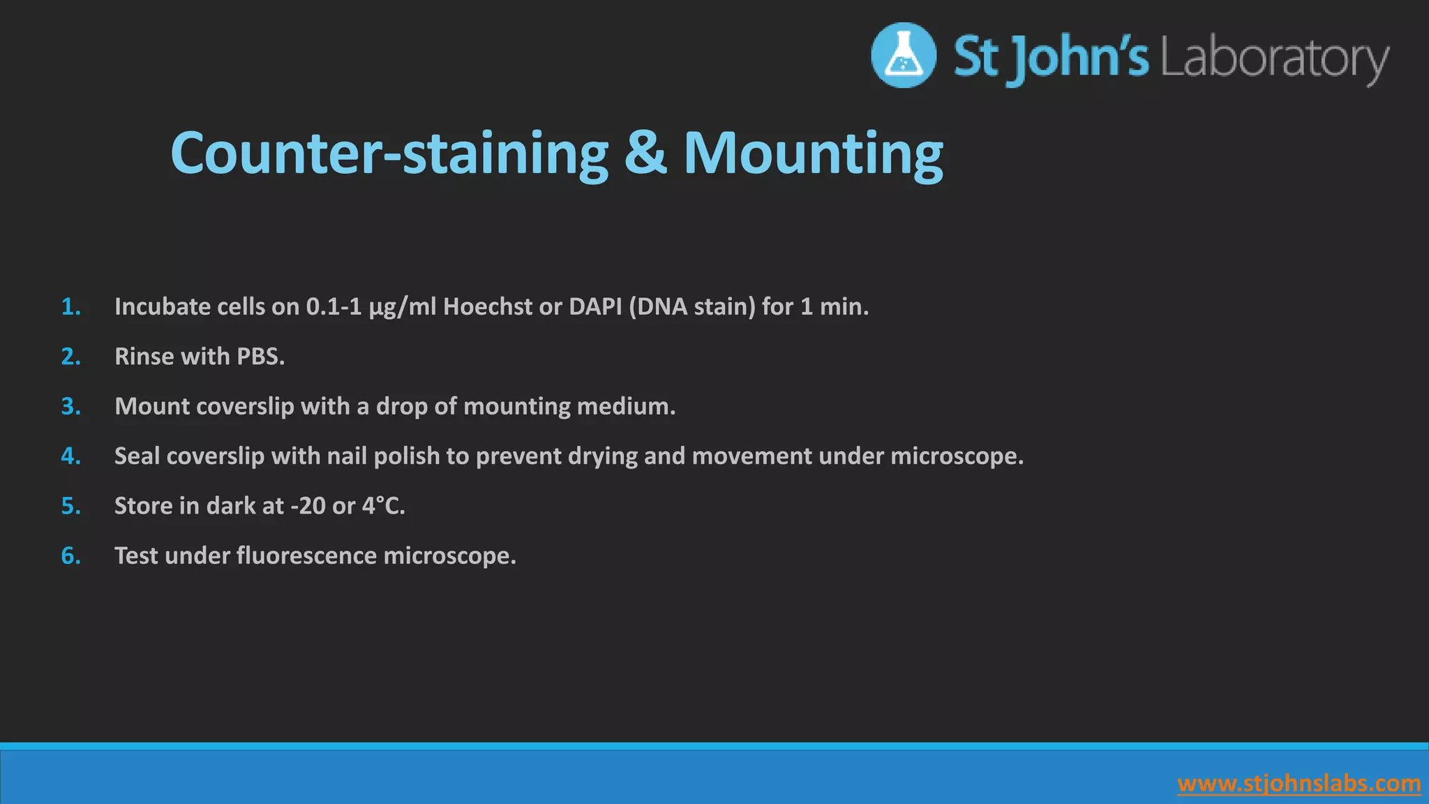 Immunofluorescence (IF) Protocol | PPTX