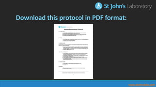 Immunofluorescence (IF) Protocol | PPTX