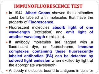 Immunofluorescence (IF) Test | PPT