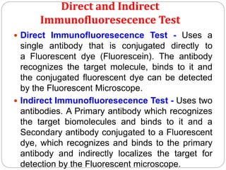 Immunofluorescence (IF) Test | PPT