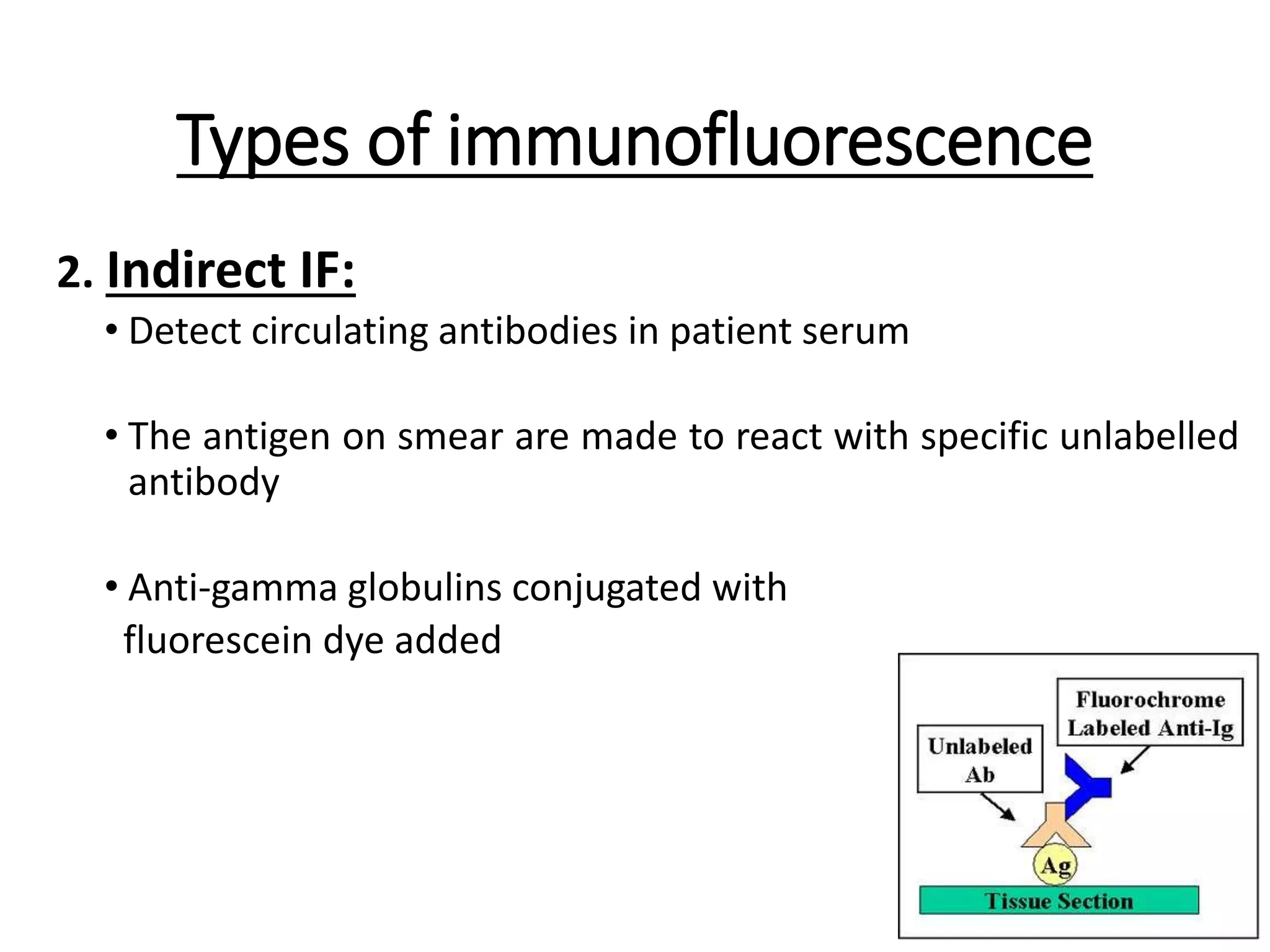 Immunofluorescence and its role in histopathology | PPTX