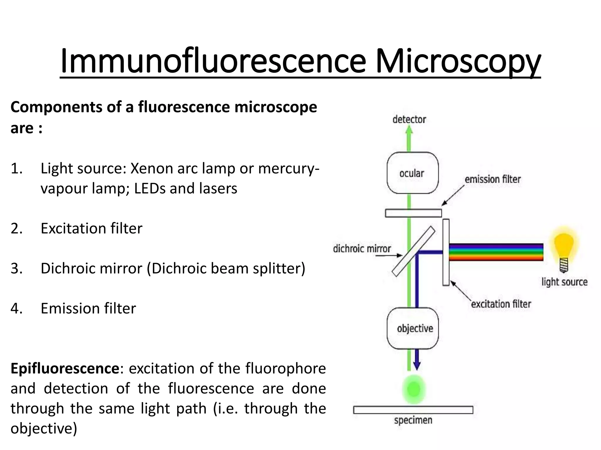 Immunofluorescence and its role in histopathology | PPTX