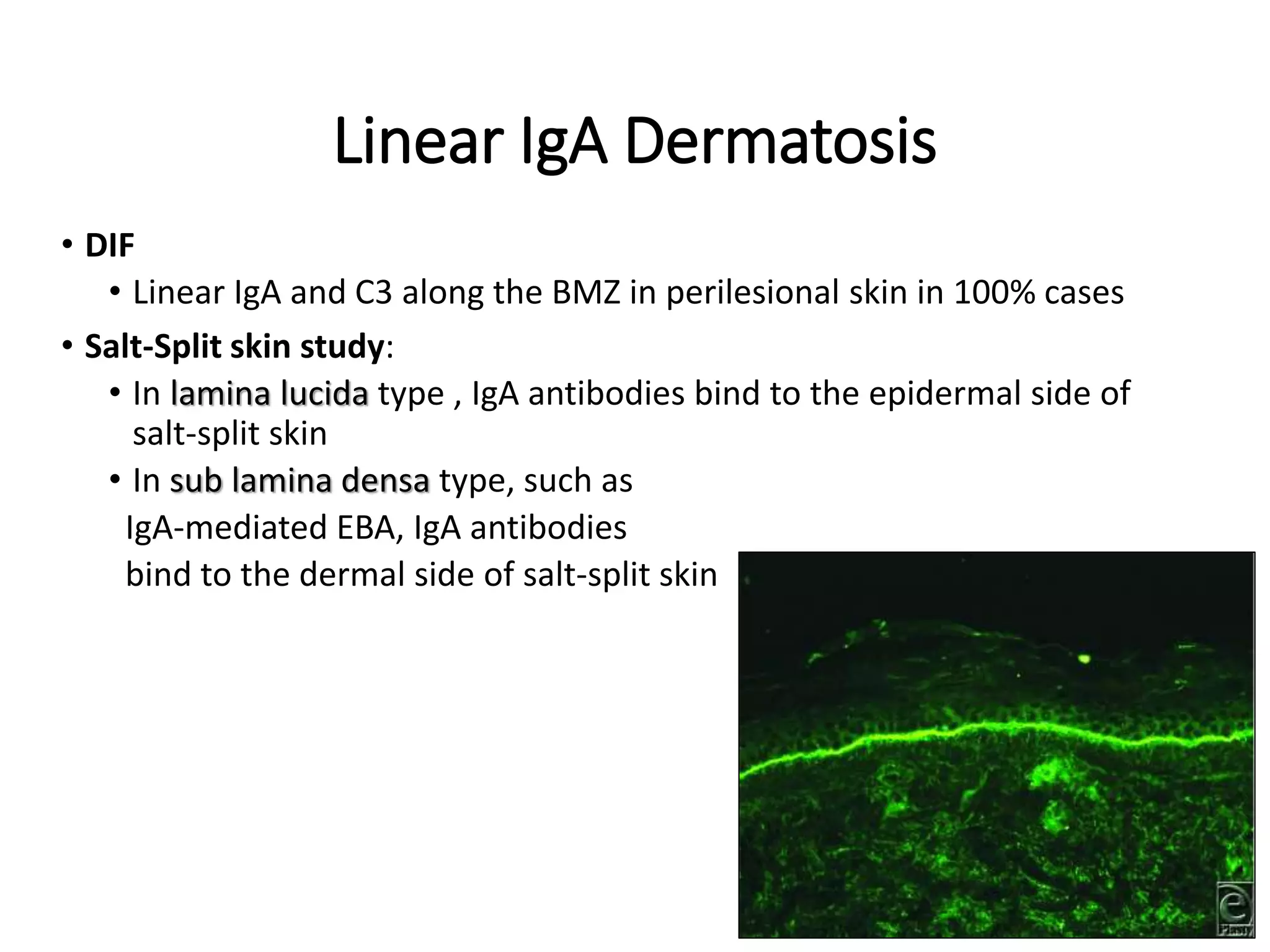 Immunofluorescence and its role in histopathology | PPTX