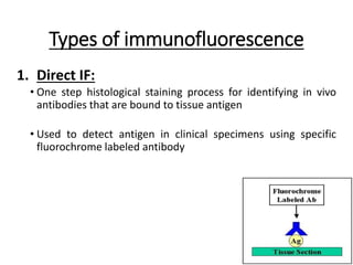 Immunofluorescence and its role in histopathology | PPTX