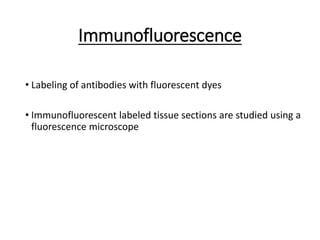 Immunofluorescence and its role in histopathology | PPTX