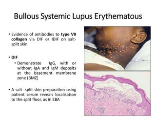 Immunofluorescence and its role in histopathology | PPTX