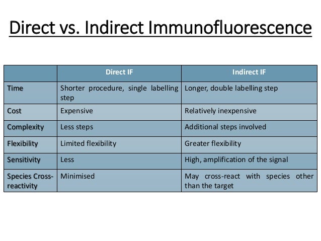 Immunofluorescence and its role in histopathology