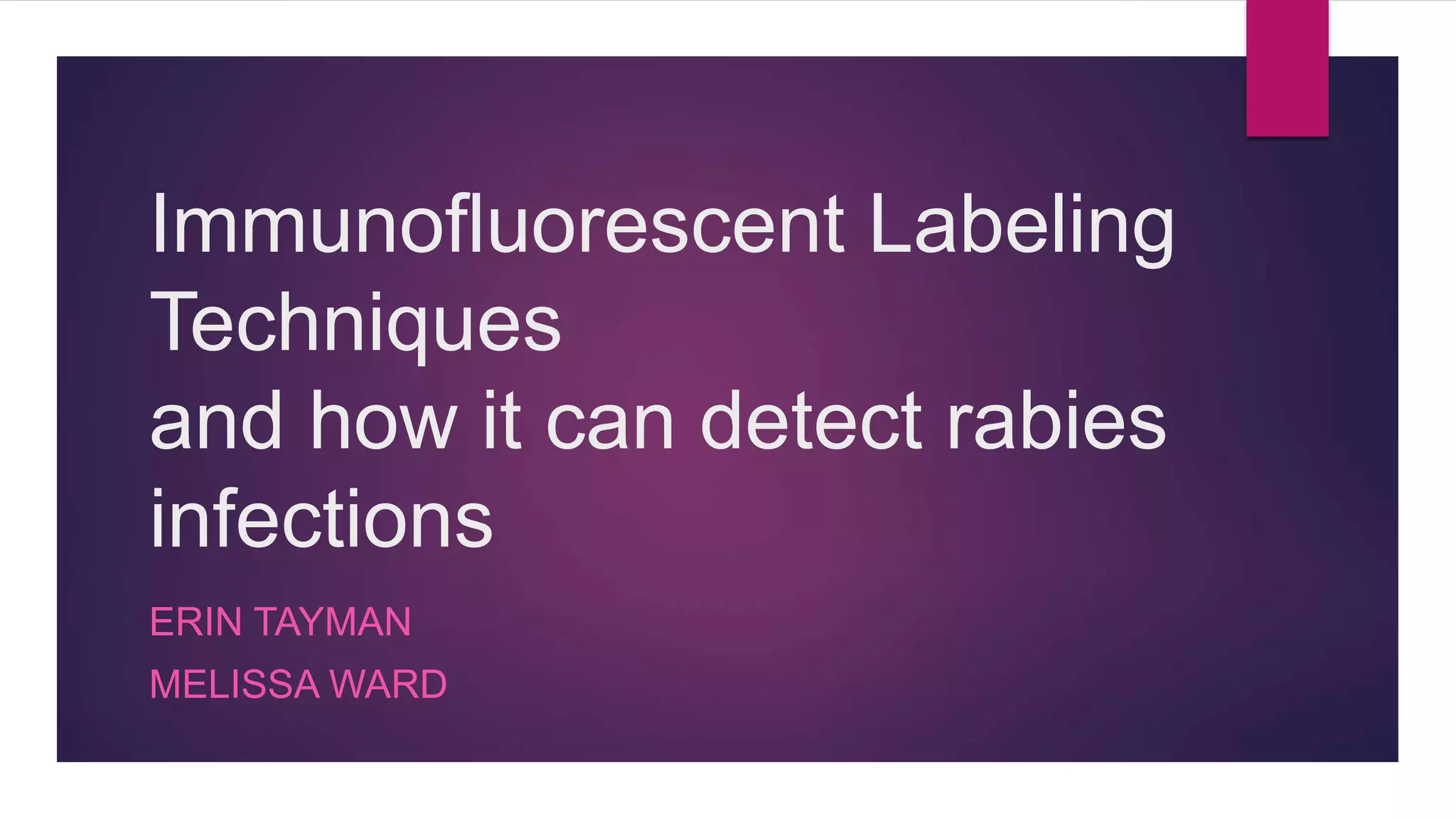 Immunofluorescent labeling techniques | PPTX