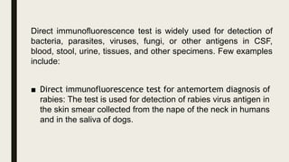 immunoflurescence | PPTX