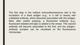 immunoflurescence | PPTX