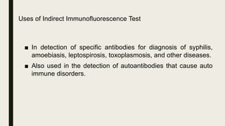 immunoflurescence | PPTX