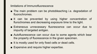 immunoflurescence | PPTX