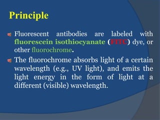 Immunofluroscence.pptx