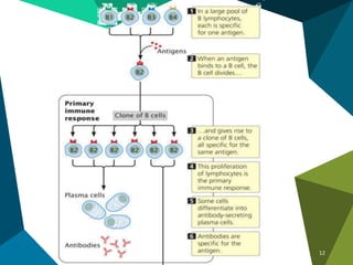 immunogenetics.pptx