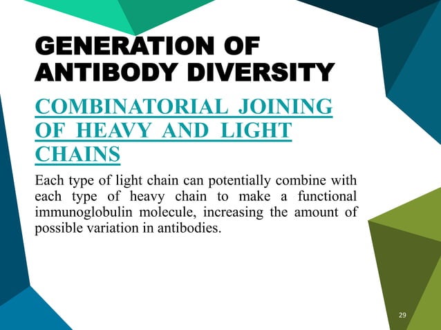 immunogenetics.pptx | Genetics | Science