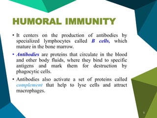 immunogenetics.pptx