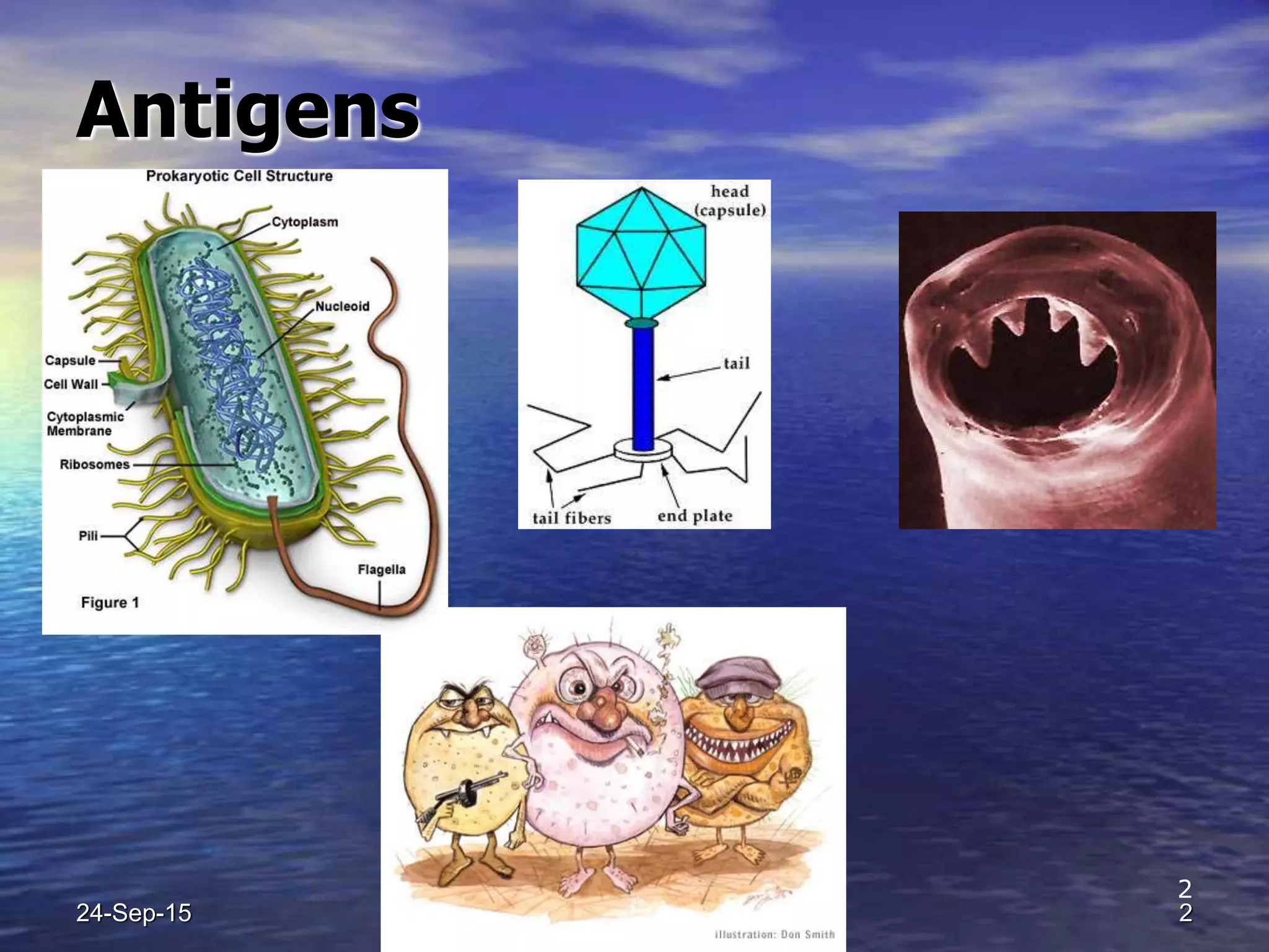 Immunogenetics | PPTX