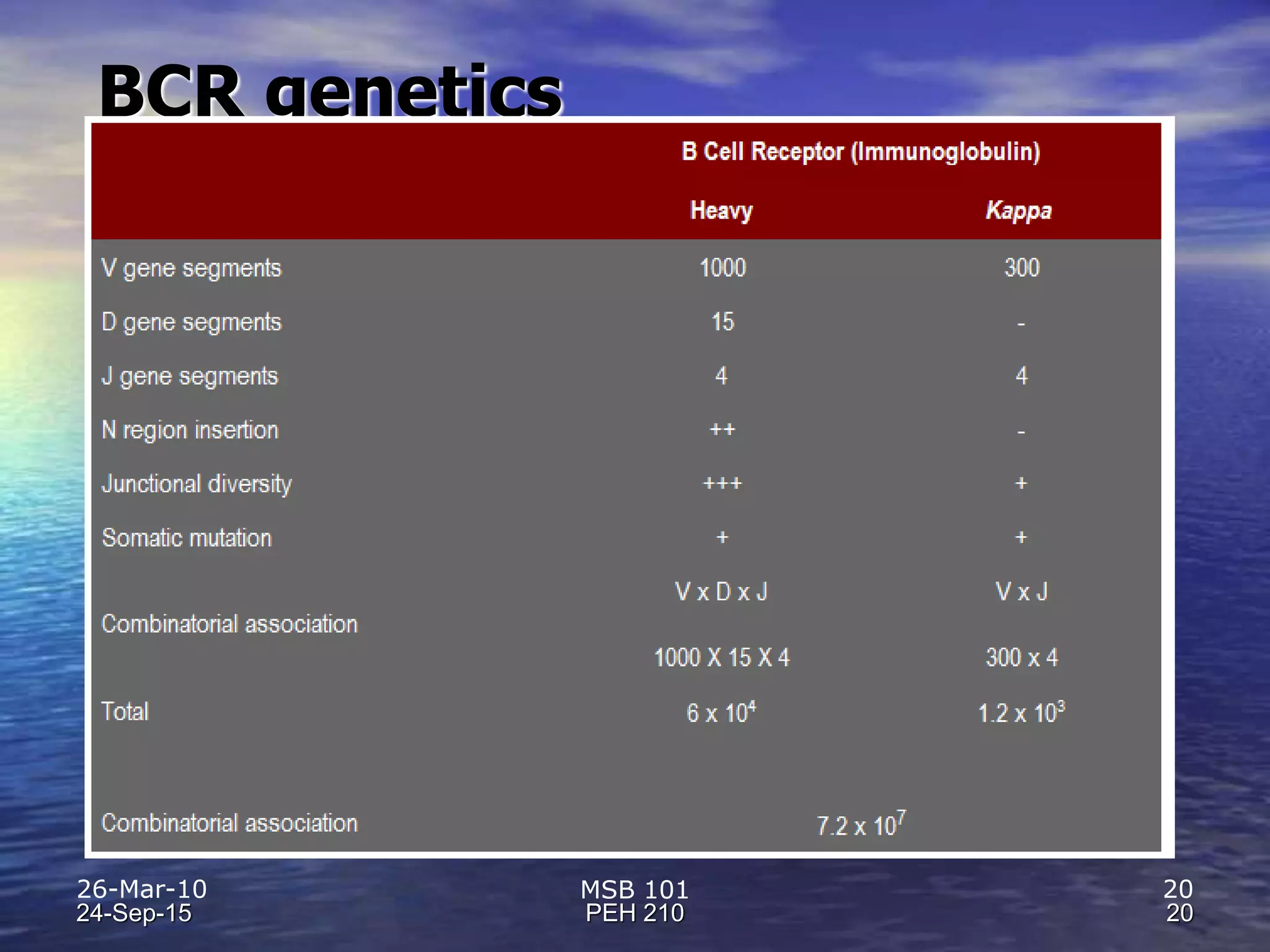 Immunogenetics | PPTX