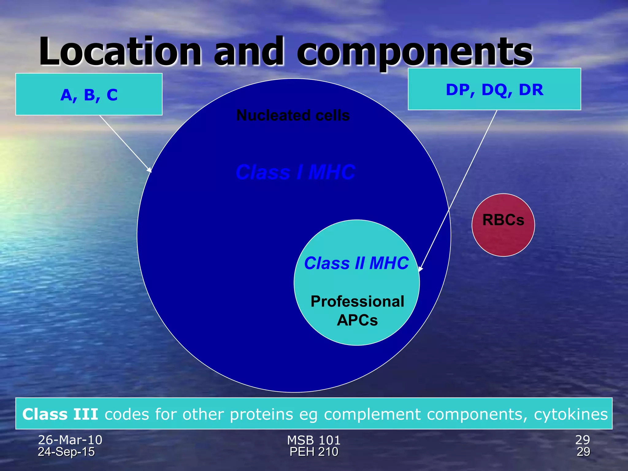 Immunogenetics | PPTX