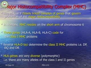 Immunogenetics | PPTX