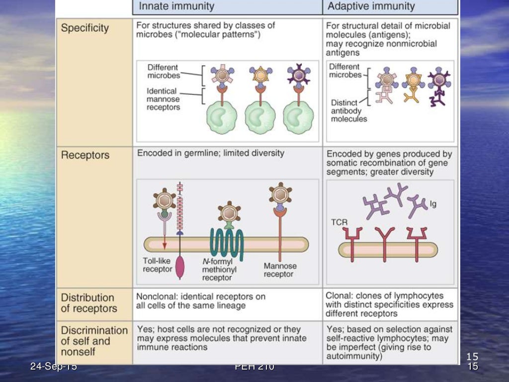 Immunogenetics
