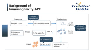 Immunogenicity overview of therapeutic biologics | PPTX | Biological ...