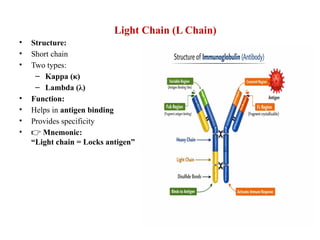 immunoglobins antibodies their structure types | PPTX
