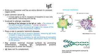 Immunogloblin.pptx