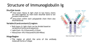 Immunogloblin.pptx
