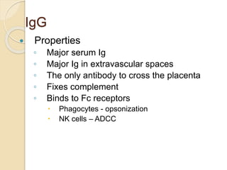 Immunoglobuins & their functions | PPTX