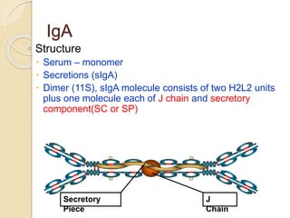 Immunoglobuins & their functions | PPTX