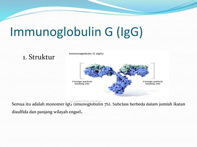 Immunoglobulin | PPTX
