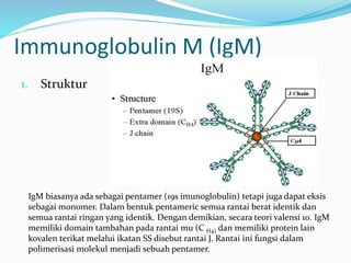 Immunoglobulin | PPTX
