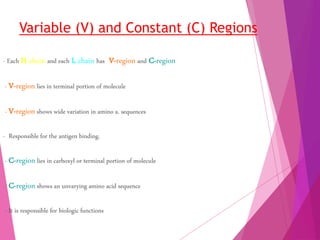 Immunoglobulin | PPTX