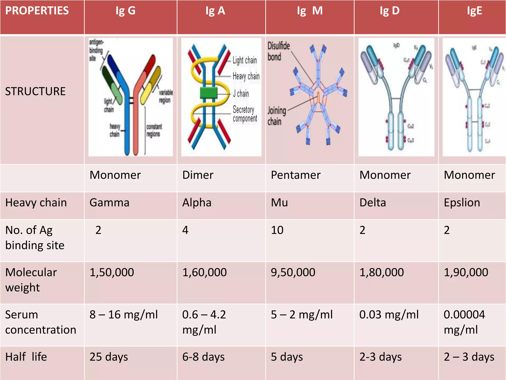 Immunoglobulin | PPTX