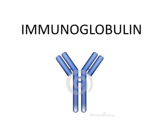 Immunoglobulin | PPTX